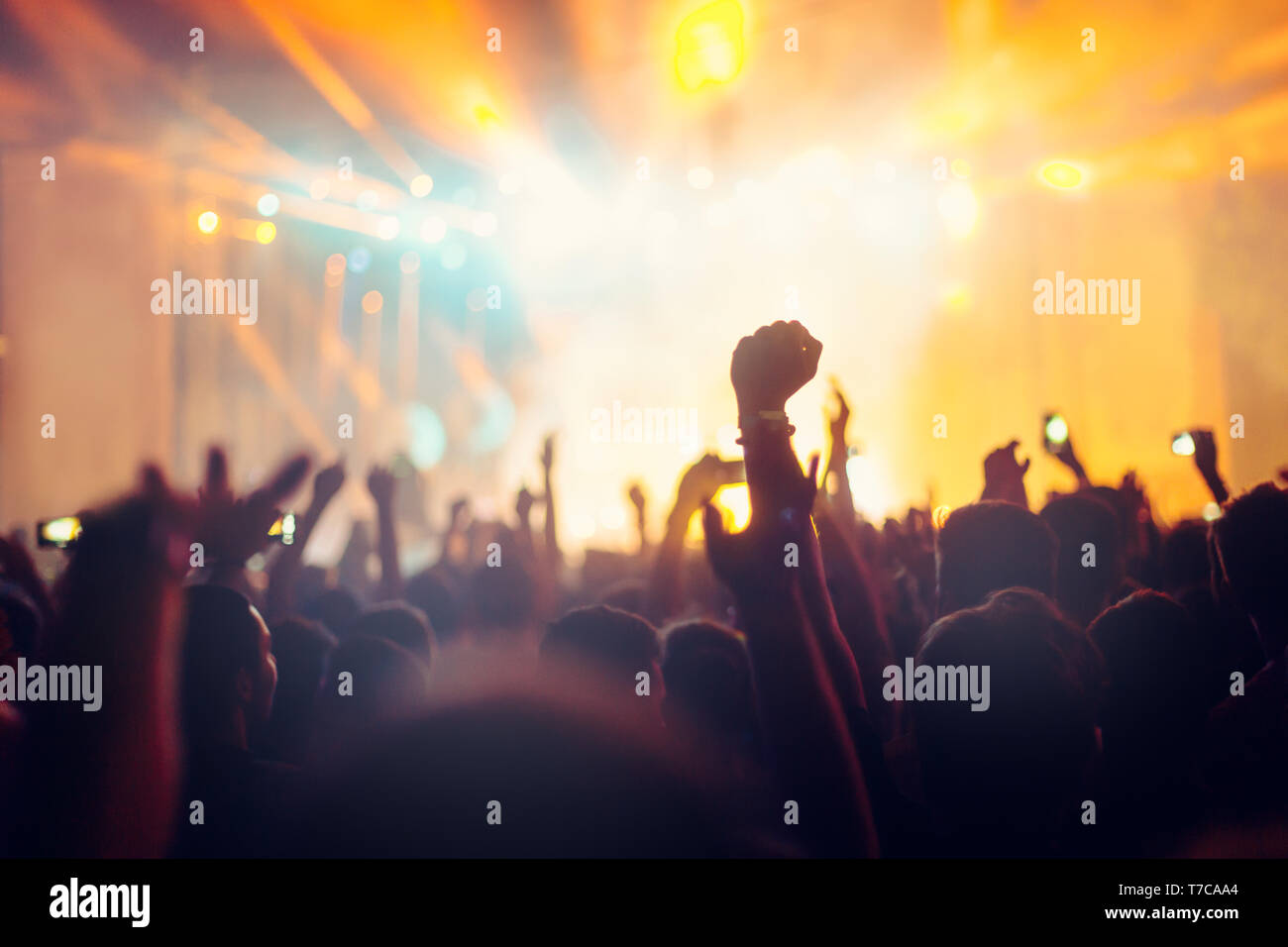 Picture of party people on music festival Stock Photo - Alamy
