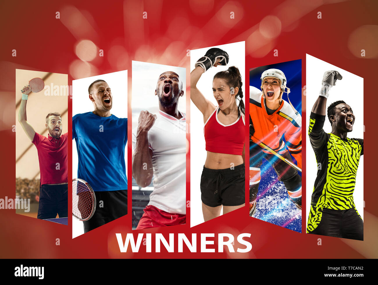 Winners. Young tennis, basketball, football or soccer, hockey, box ...