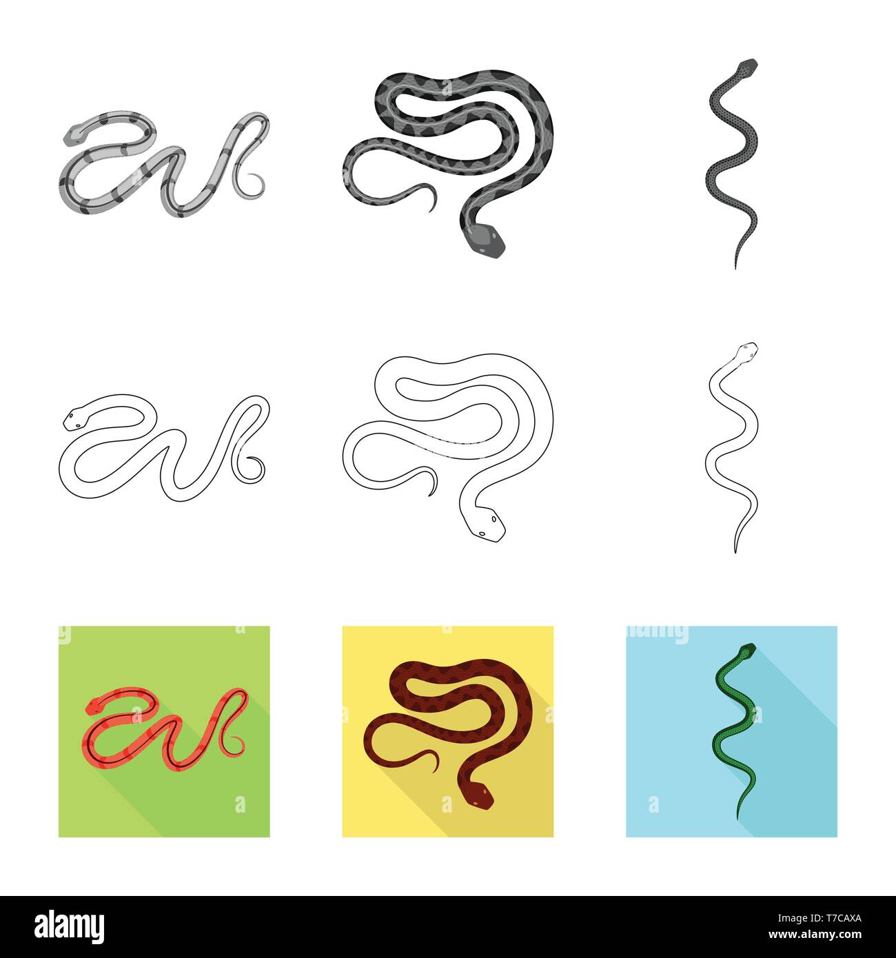 snake,viper,tail,spiral,forest,brazil,seamless,tropical,animal,green ...