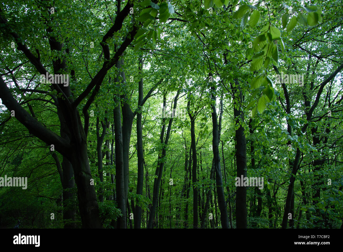 Góra sw. Anny Poland Stock Photo - Alamy