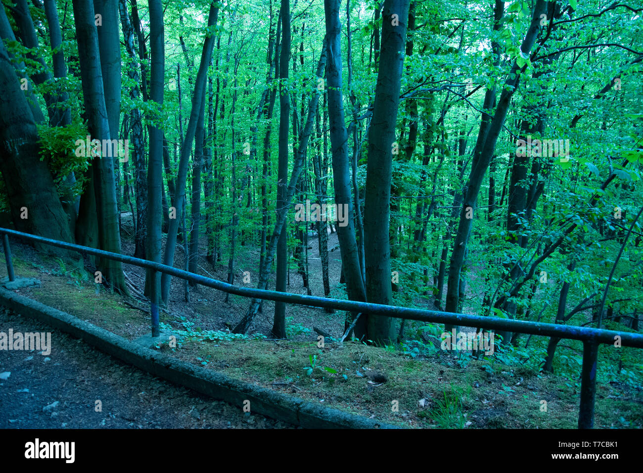 Góra sw. Anny Poland Stock Photo - Alamy