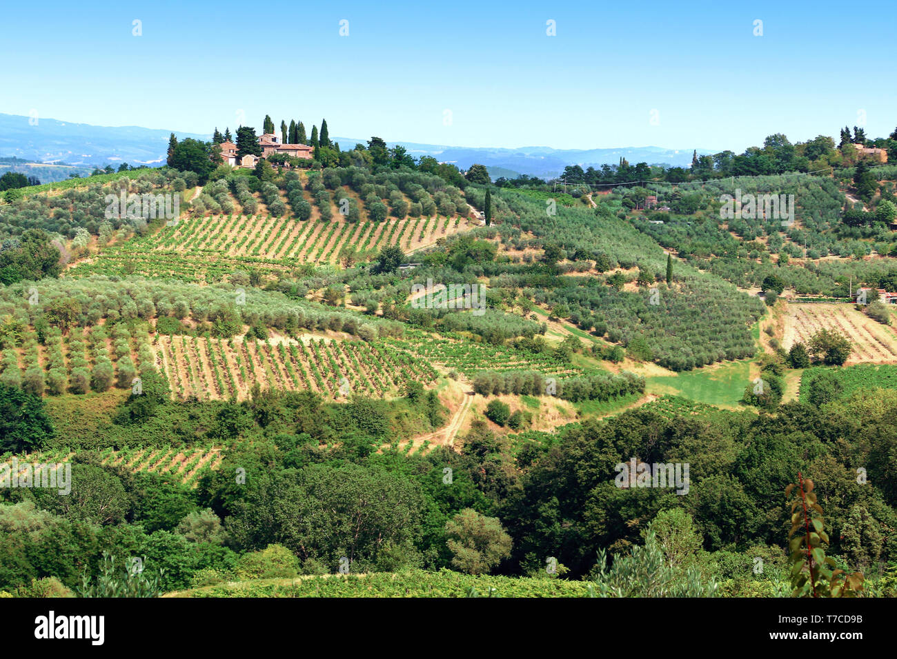 Tuscany landscape trees hi-res stock photography and images - Alamy