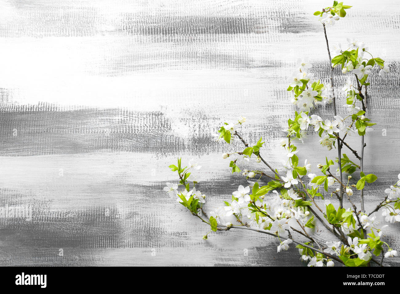 Beautiful blossoming branches on wooden background Stock Photo - Alamy