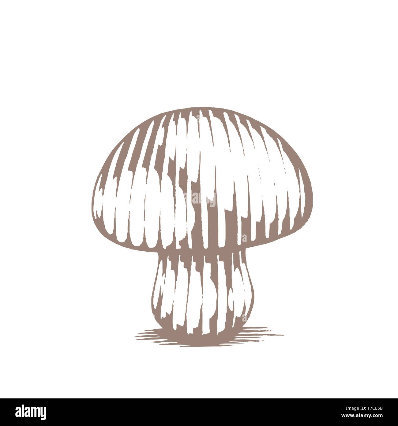 Illustration of Brown Vectorized Ink Sketch of Mushroom isolated on a ...