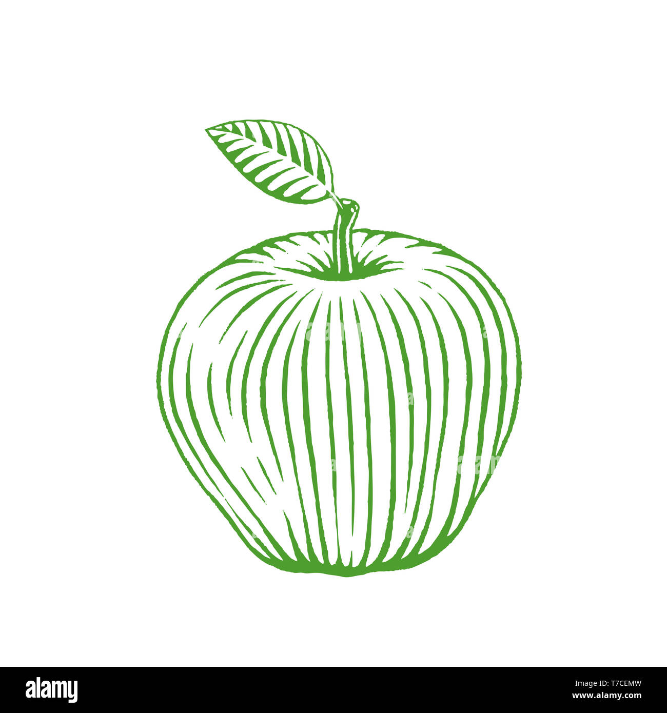 Illustration of Green Vectorized Ink Sketch of Apple isolated on a ...
