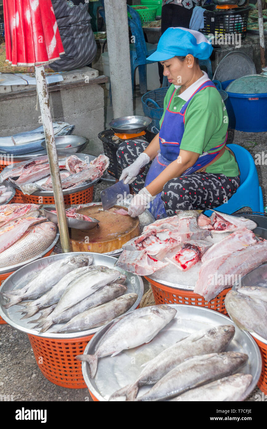 Nakhon SI Thammarat, Thailand-February 11th 2015. A fish vendor on the ...