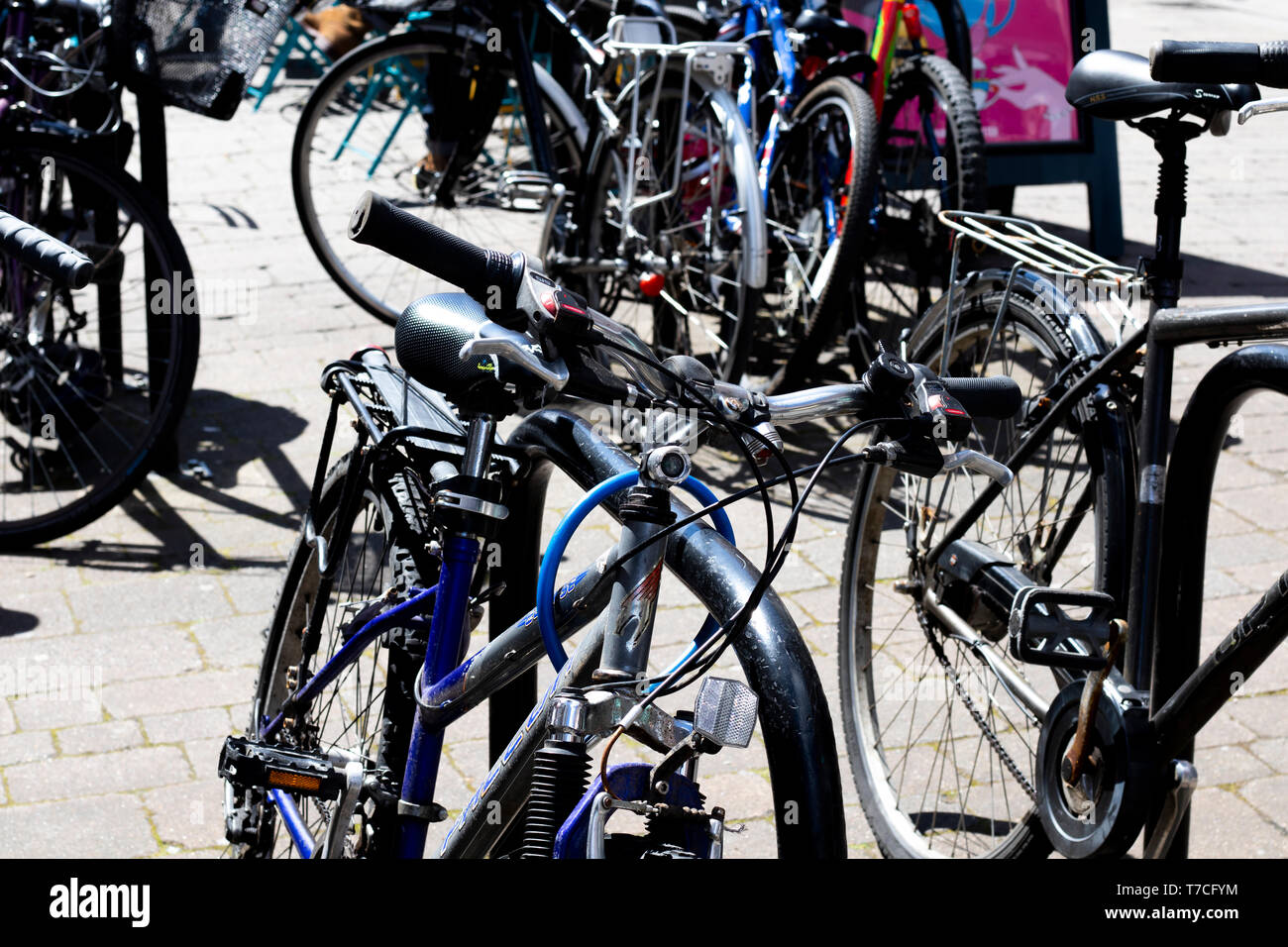 Bicycles chained to bike parking rack located in City centre shopping ...