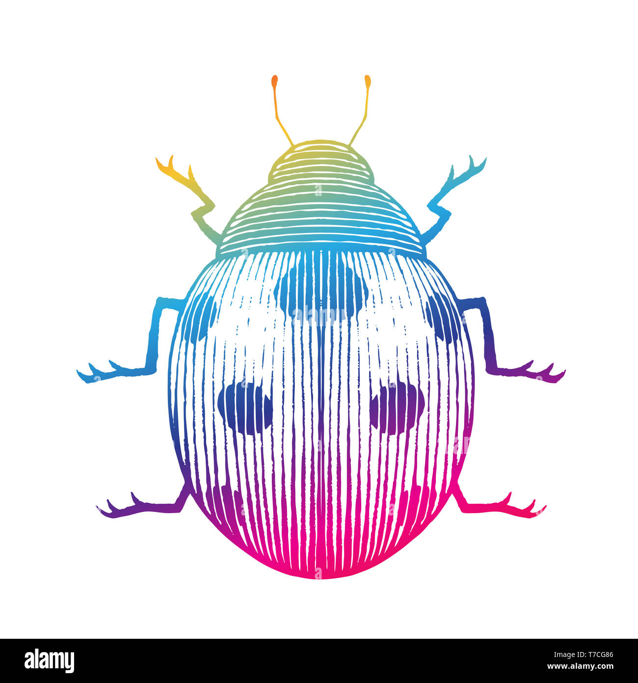 Illustration of Rainbow Colored Vectorized Ink Sketch of Ladybug ...