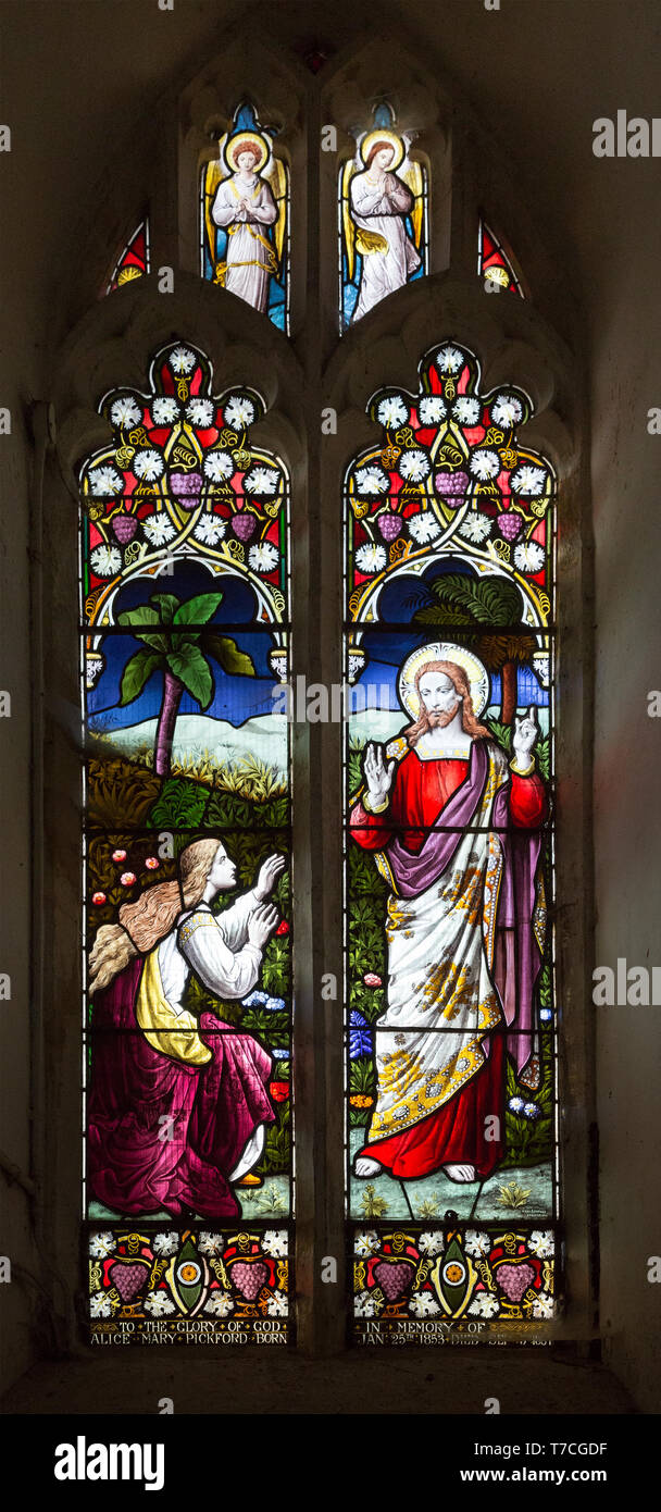 Stained glass window church of Saint Peter, Sibton, Suffolk, England ...