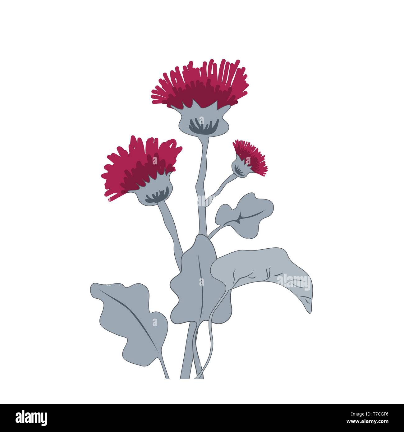 Cartoon herbal medicine hi-res stock photography and images - Alamy