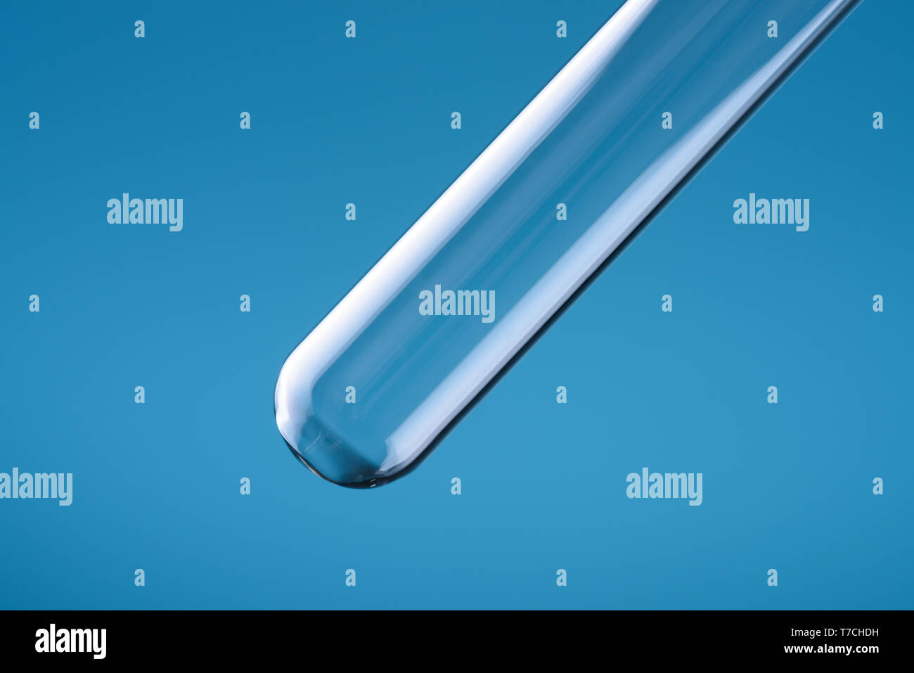 Empty clean clear laboratory big glass test tube on blue background ...