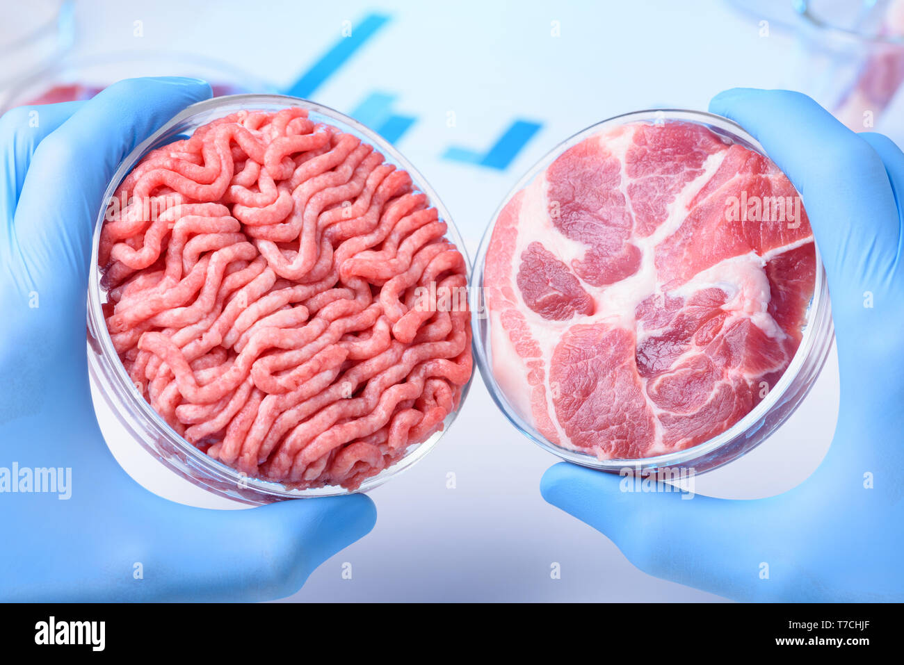 Two raw meat samples in laboratory Petri dishes in scientist hands ...