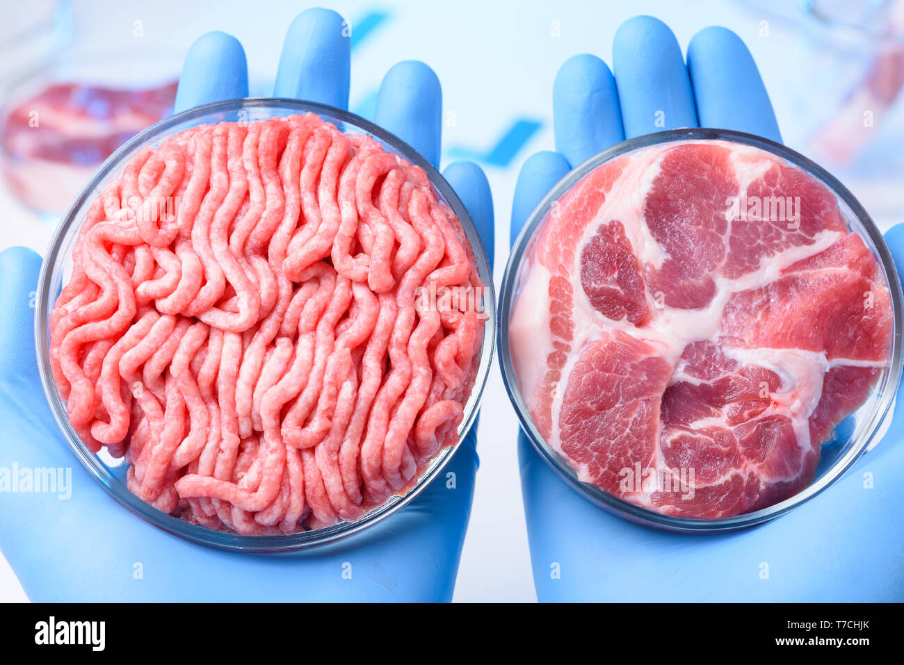 Two raw meat samples one whole one ground in laboratory Petri dishes in ...
