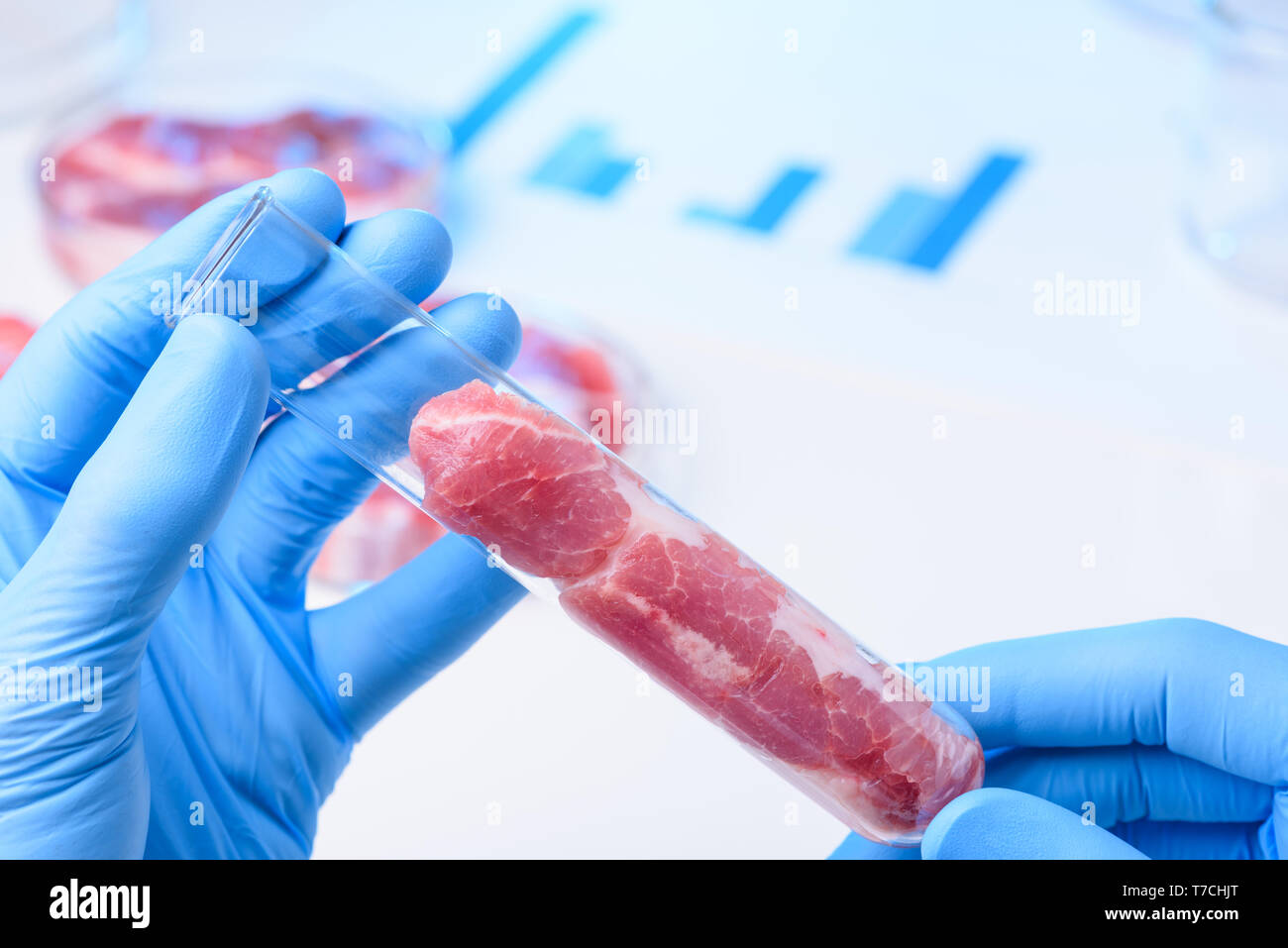 Raw red meat sample in laboratory glass test tube in scientist hands ...