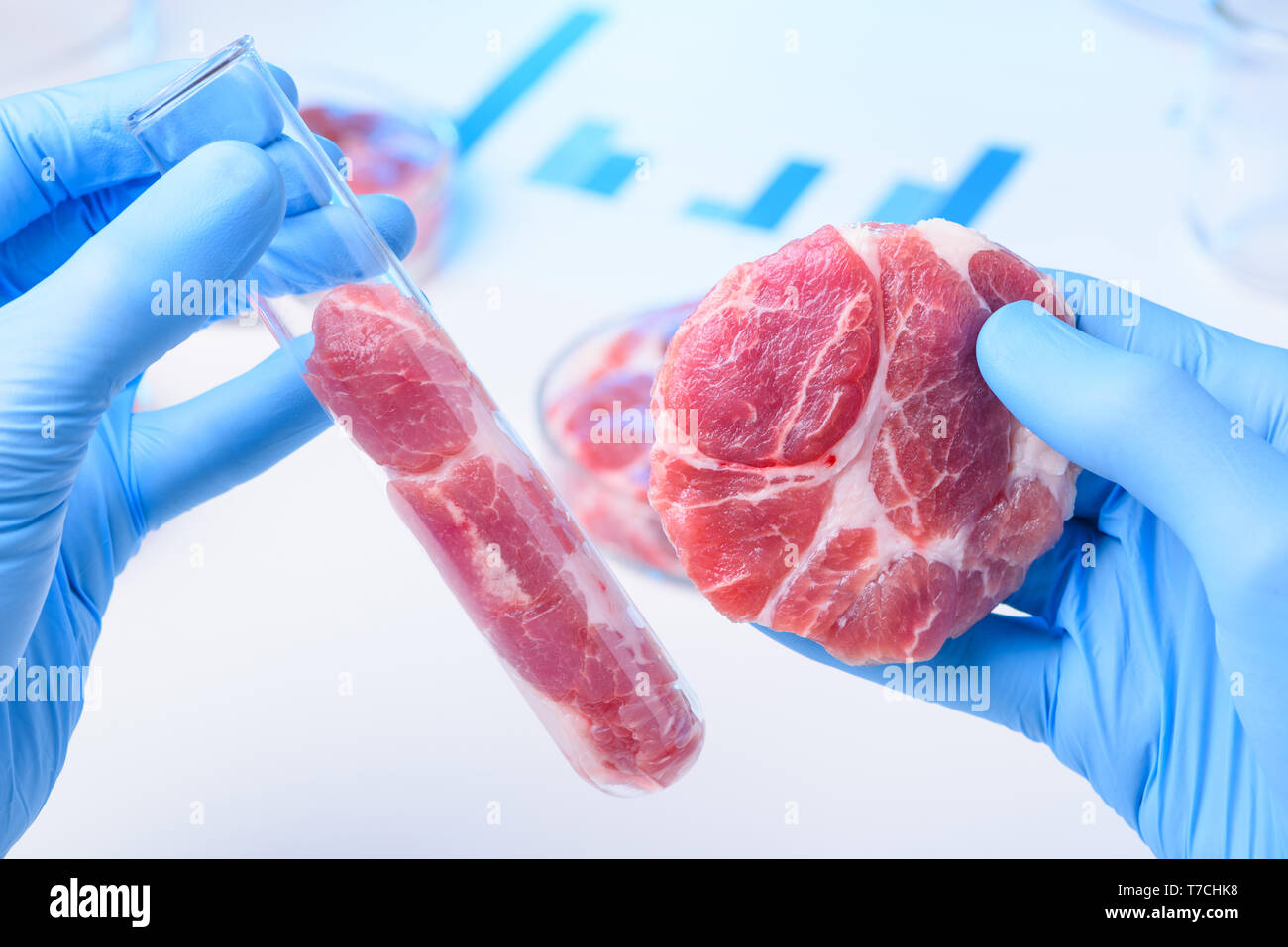 Two meat samples in scientist hands. One in laboratory glass test tube ...