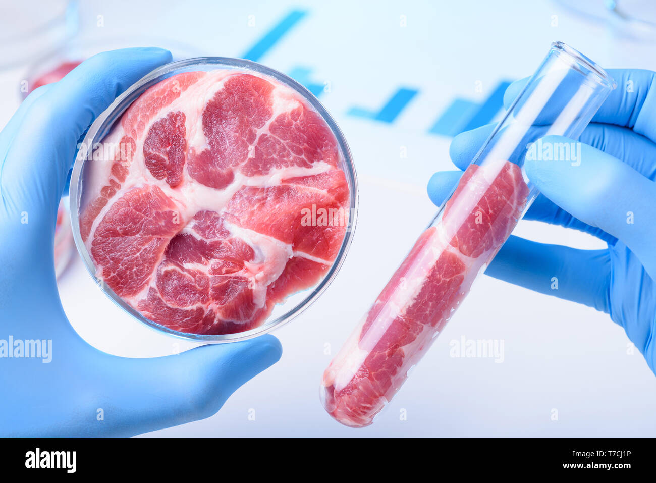 Raw meat in scientist hands. Meat in laboratory test tube and in lab ...