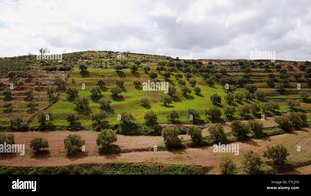 Aerial green fields in morocco hi-res stock photography and images - Alamy
