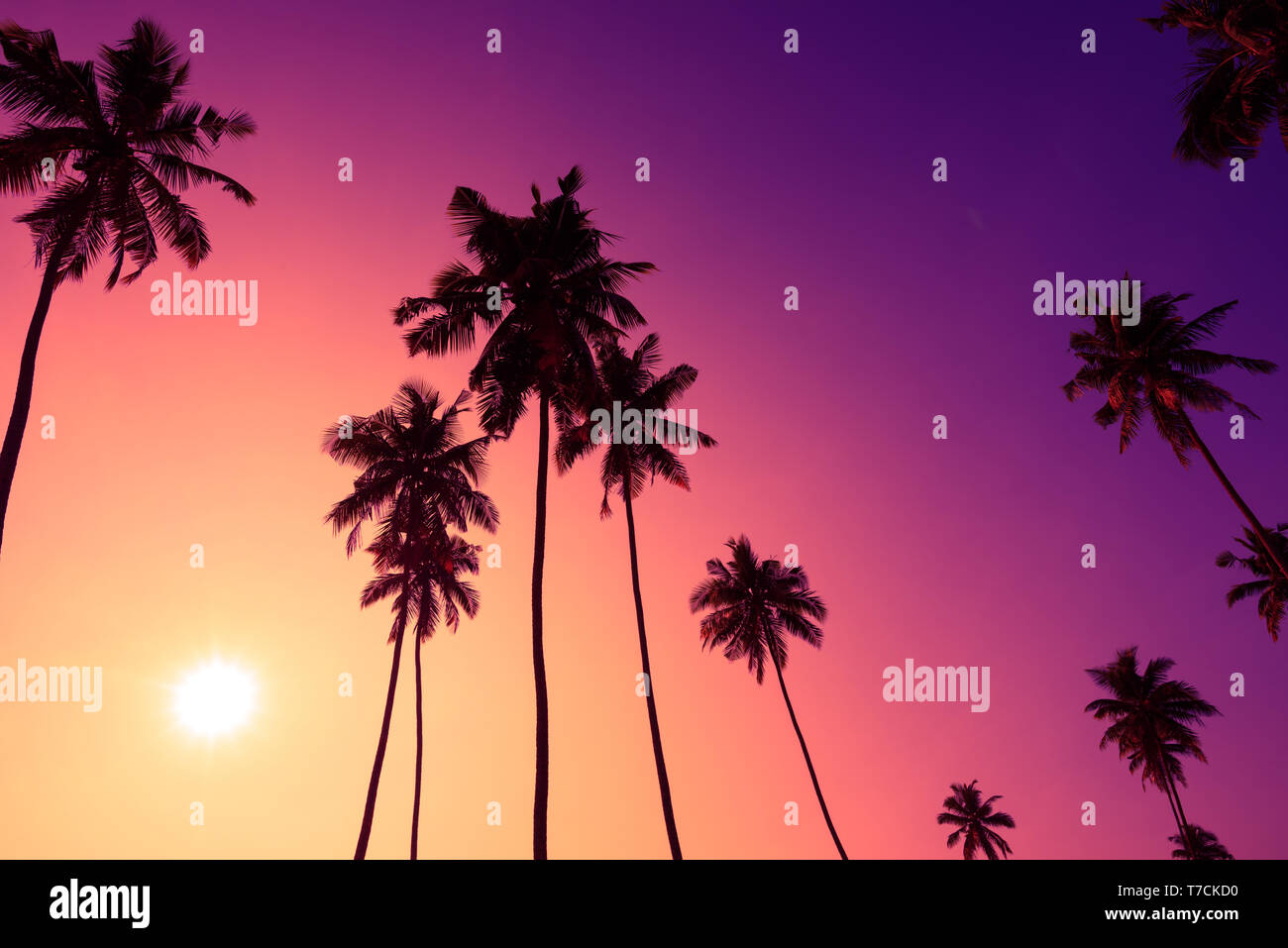 Pink tropical sunset hi-res stock photography and images - Alamy