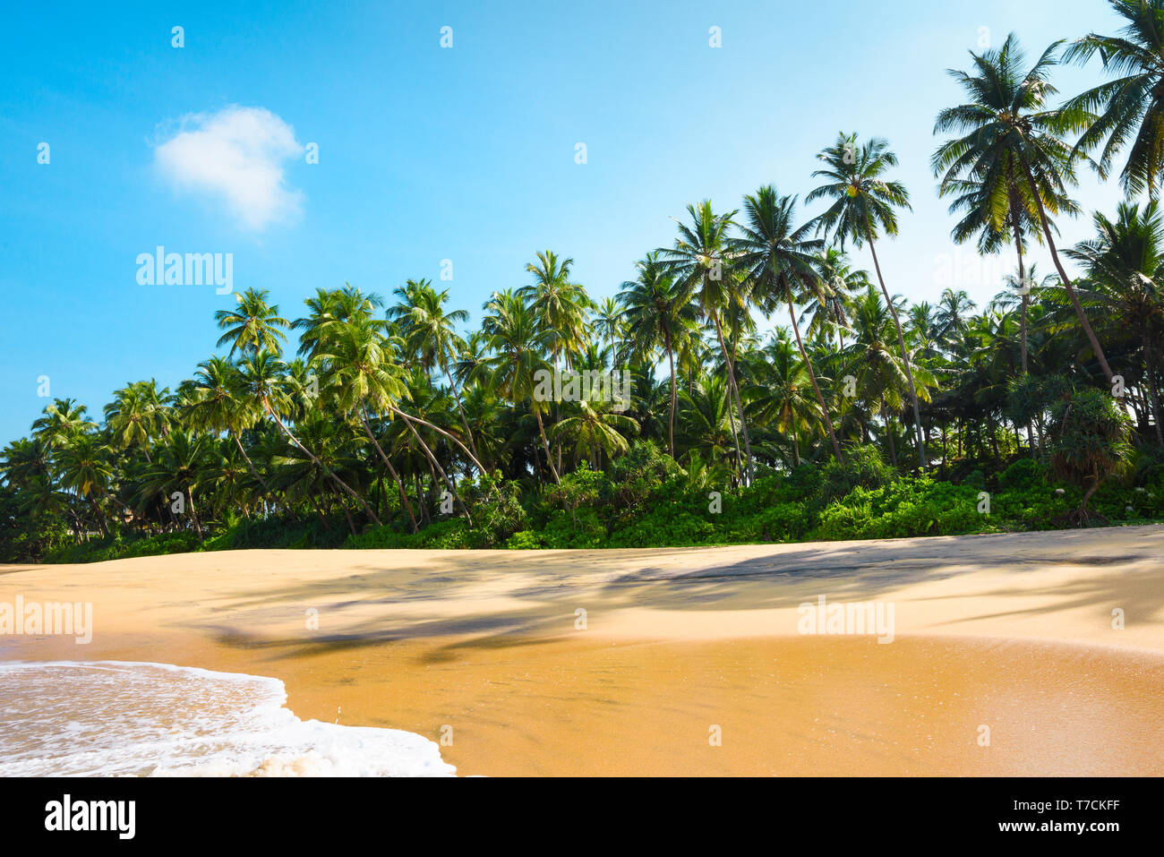 Sunny tropical beach Stock Photo - Alamy