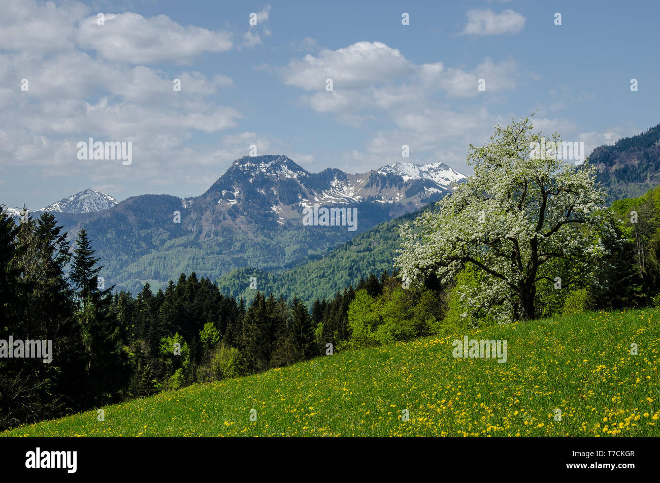 Erl is one of the oldest villages in the Inntal Valley. The Erlerberg ...