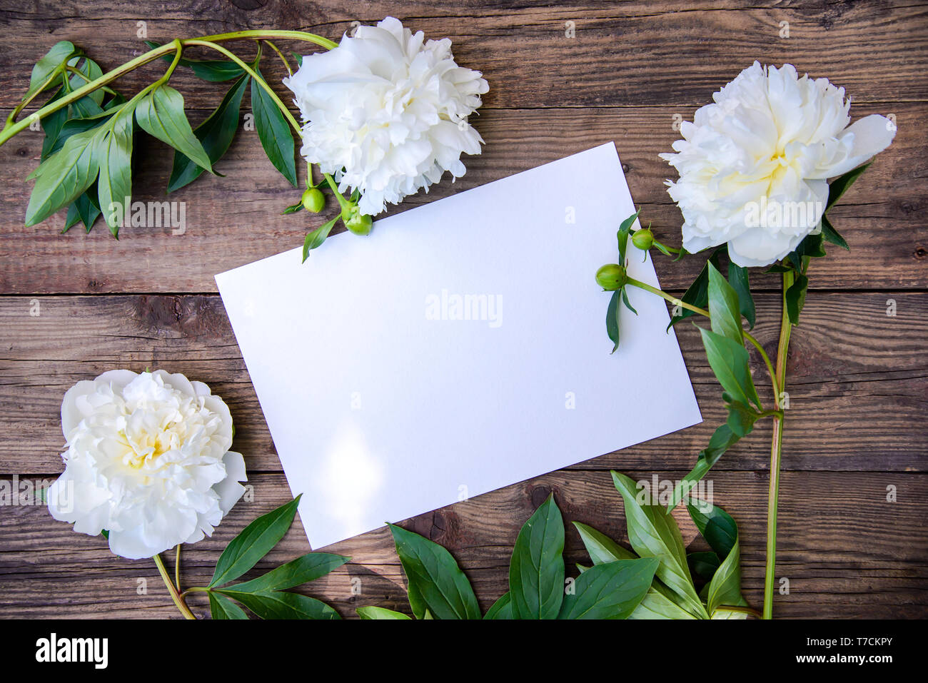 Beautiful frame hi-res stock photography and images - Alamy