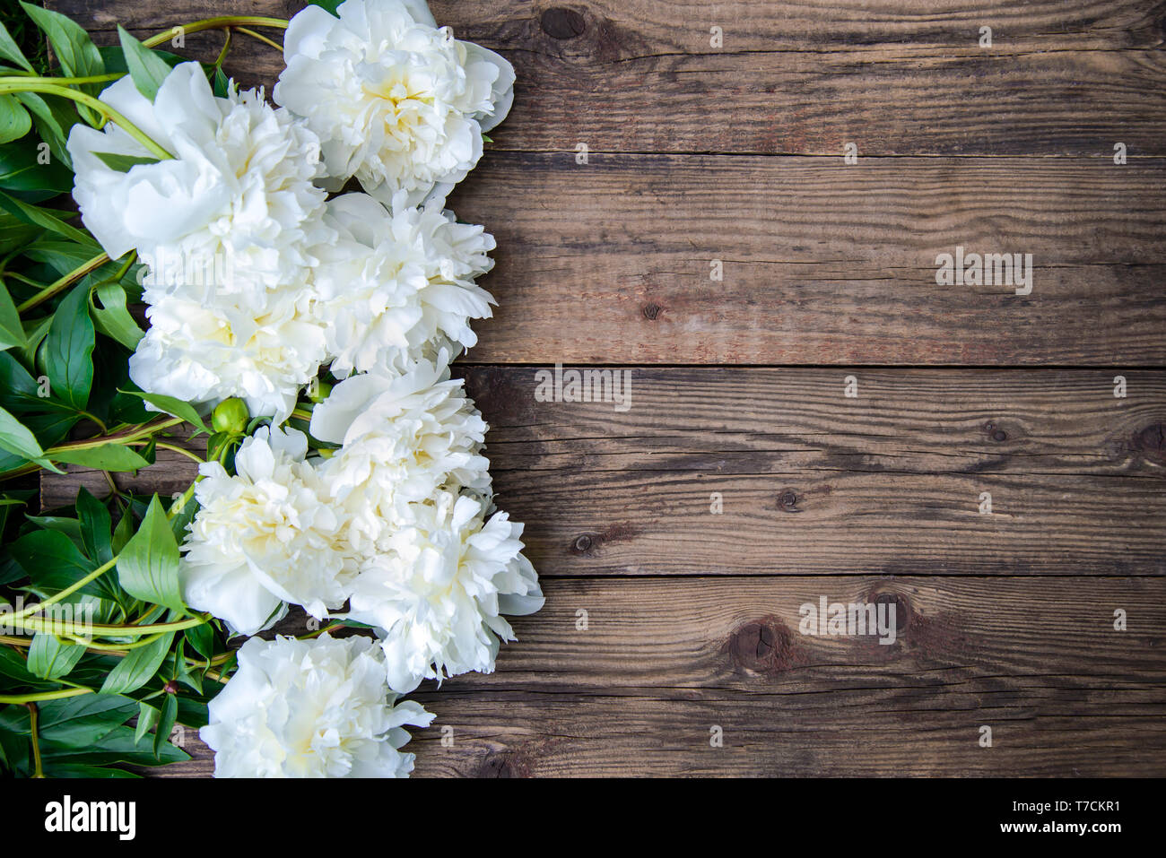 Peonies frame hi-res stock photography and images - Alamy