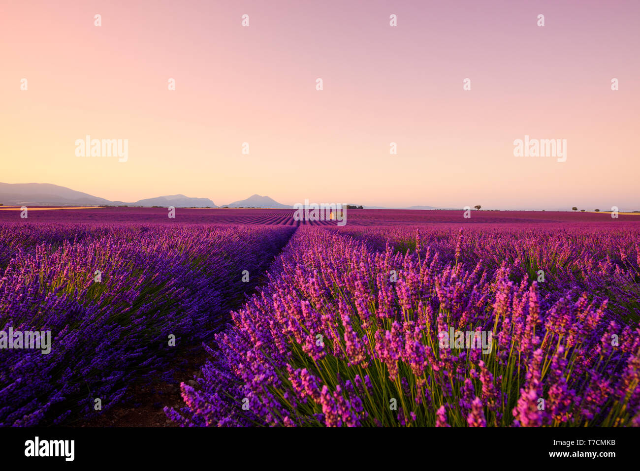 Sunrise provence hi-res stock photography and images - Alamy