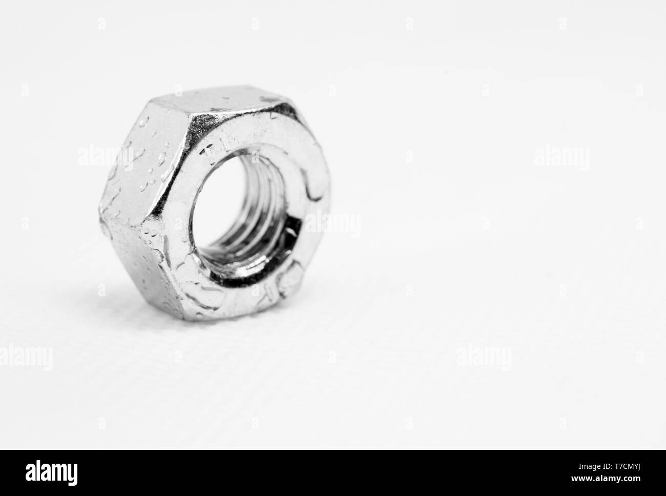silver nut on white background with water splash Stock Photo - Alamy