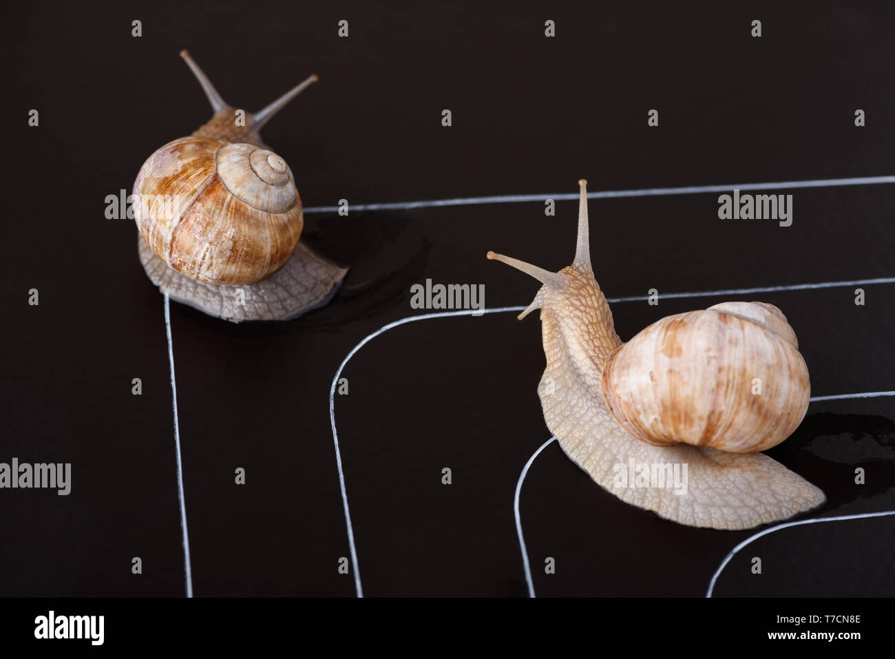 Concept off track hi-res stock photography and images - Alamy