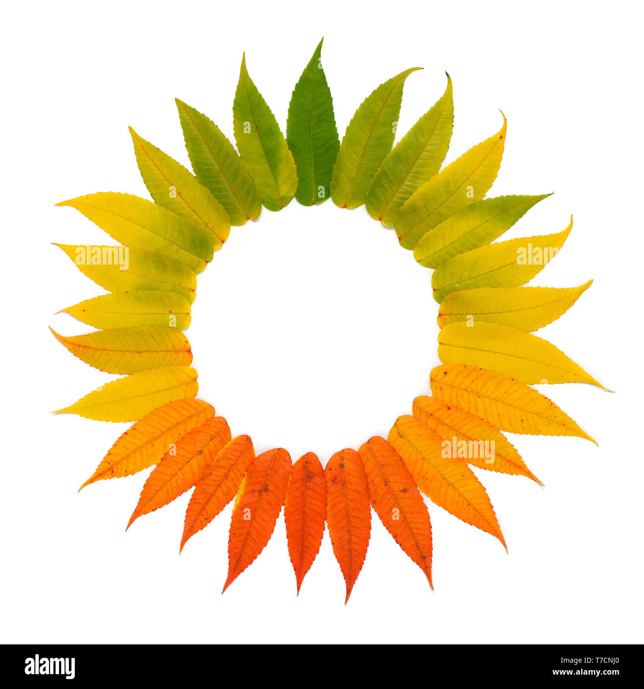 Life transition concept vintage hi-res stock photography and images - Alamy