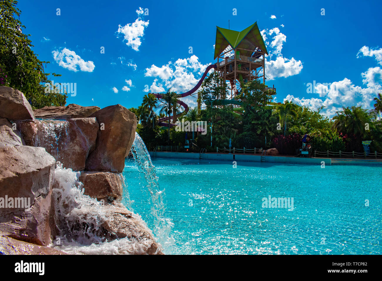 Aquatica florida hi-res stock photography and images - Alamy