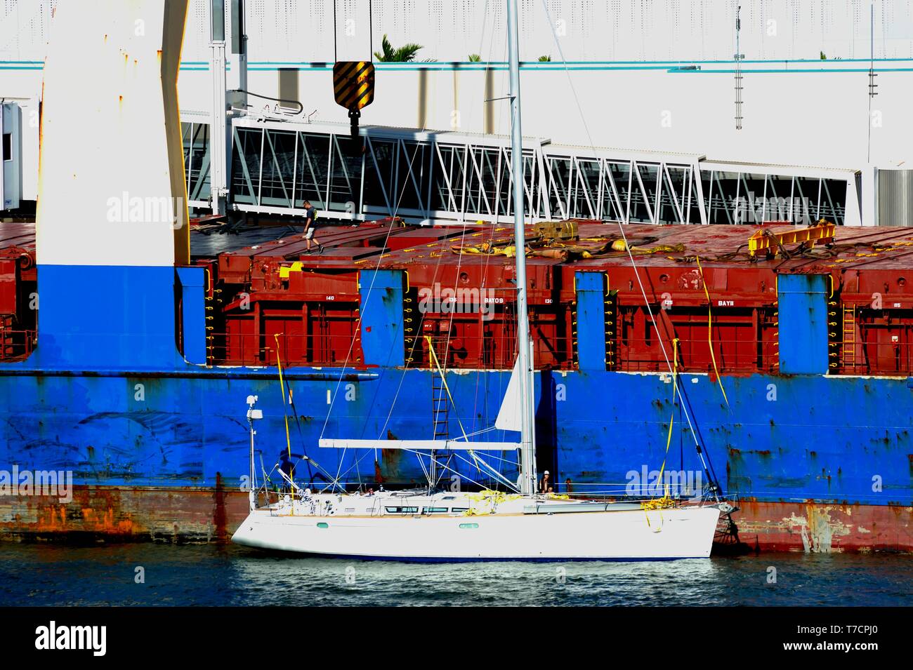 Port of Fort Lauderdale, Florida, USA - 16th April 2019: BBC Chartering ...