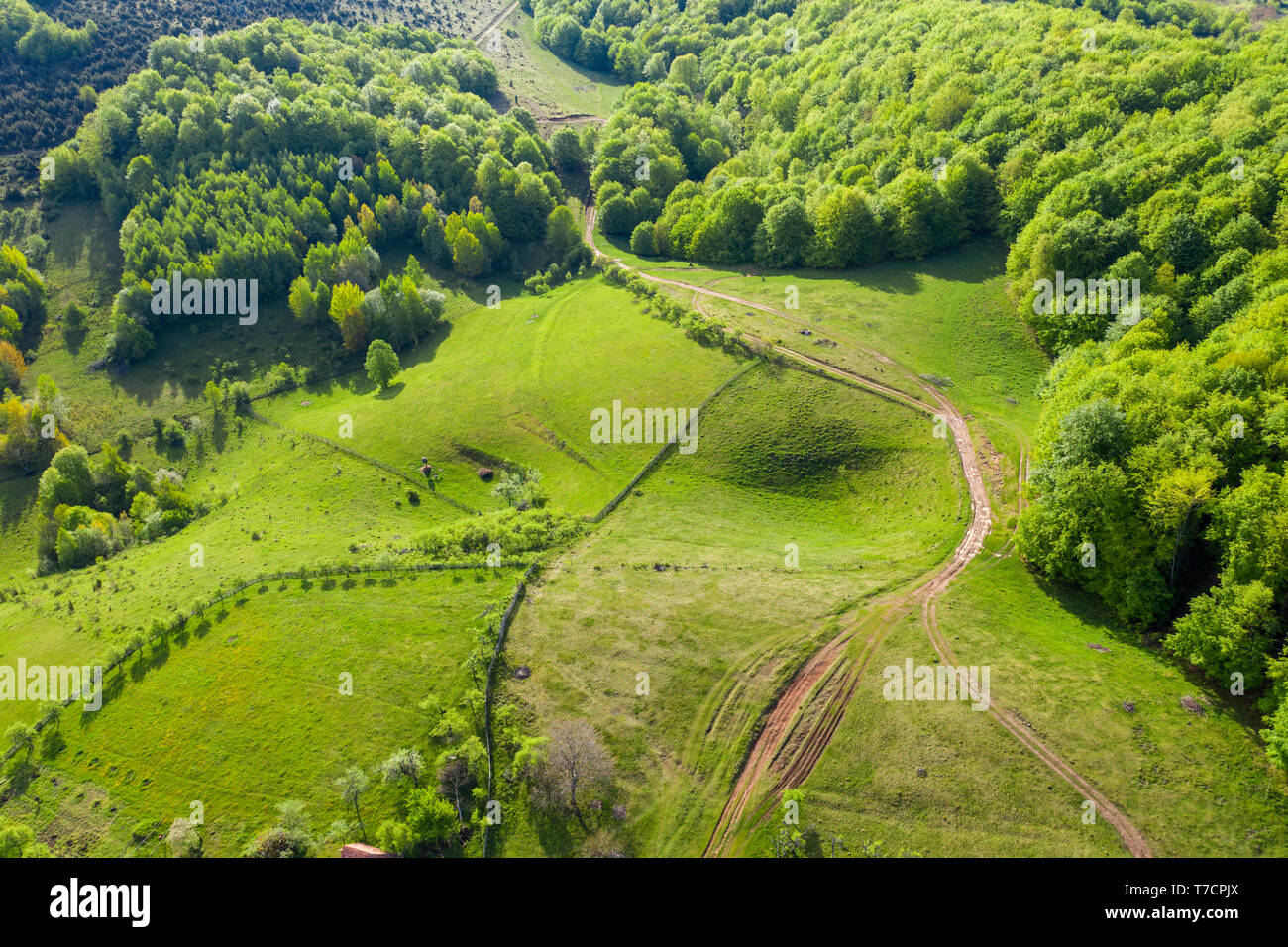 Aerial view of green countryside hills and forest in the spring Stock ...