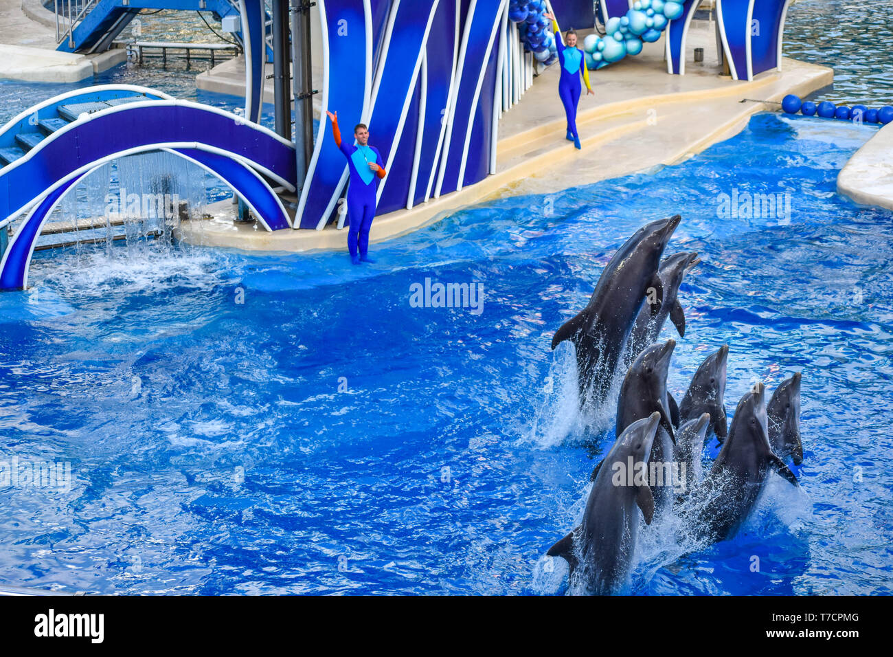 Orlando, Florida. December 25, 2018 . Dolphin jumping in colorful ...