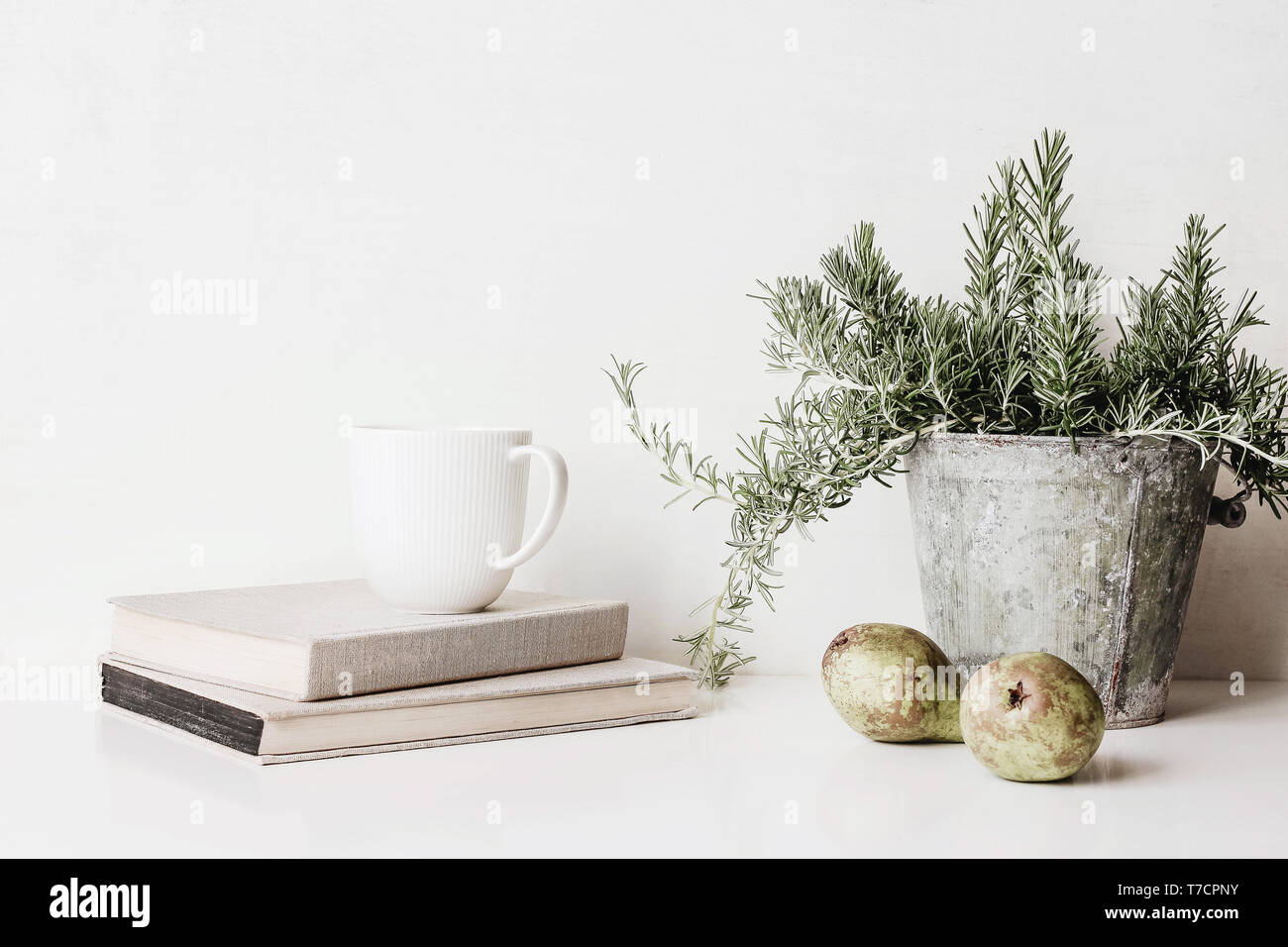 Vintage feminine still life scene. Composition of rosemary herb in old ...