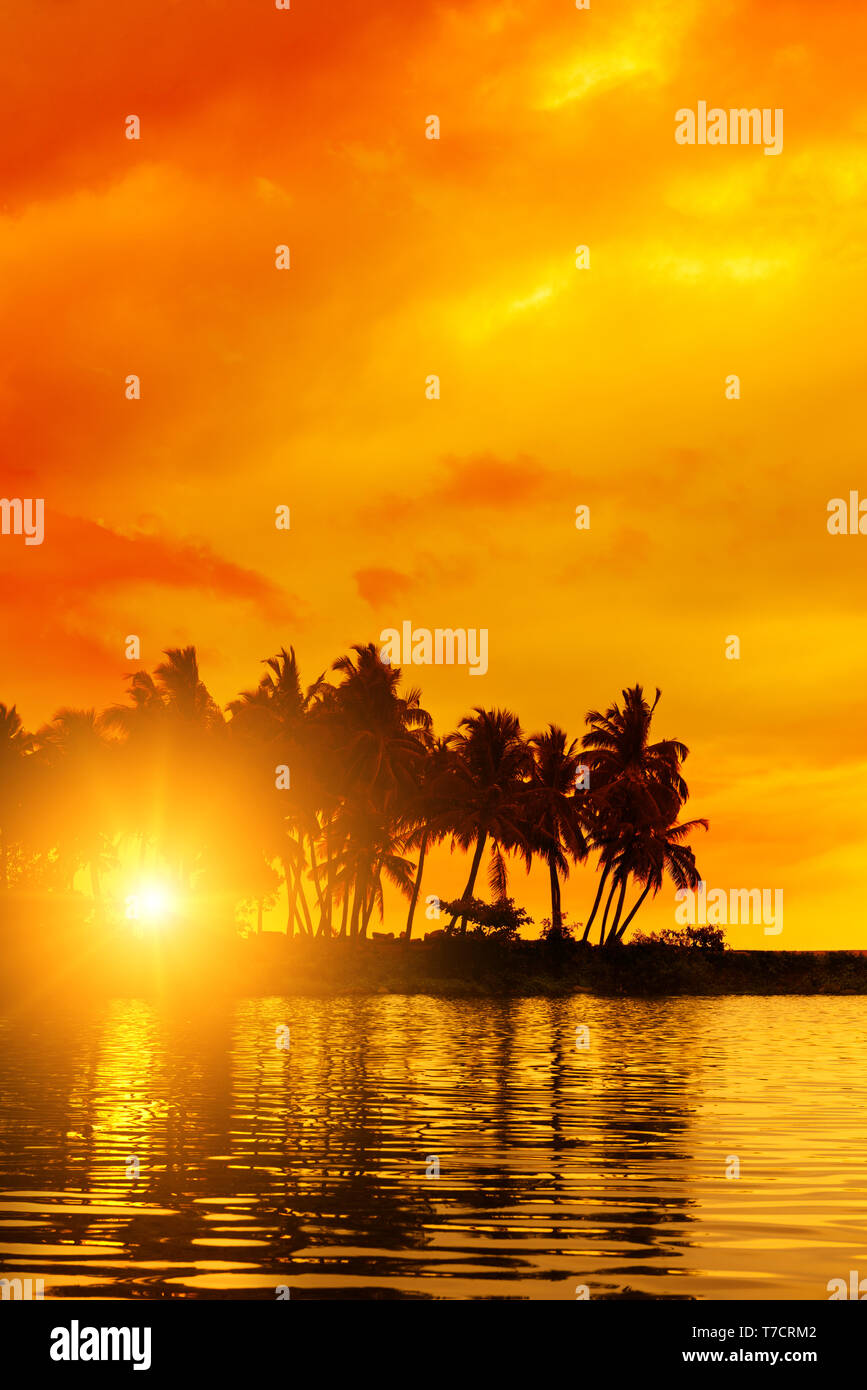 Tropical sunset on remote island. Beach sunset with coconut palm trees ...