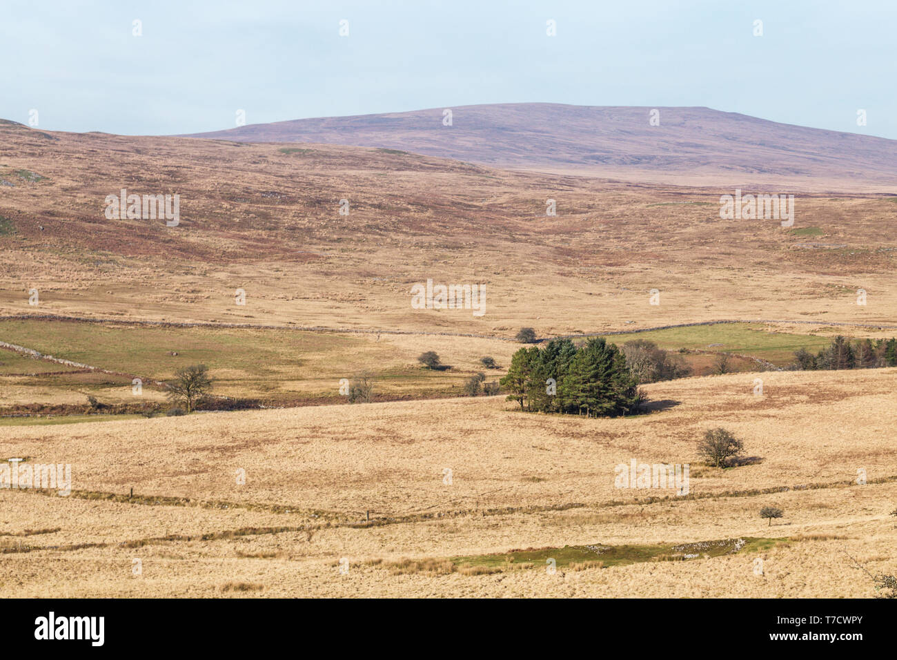 Burnt grass hi-res stock photography and images - Alamy
