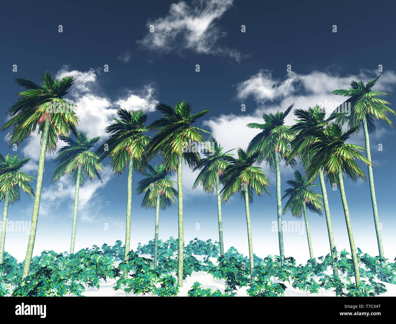 3D render of a palm tree landscape against a blue sky with white clouds ...