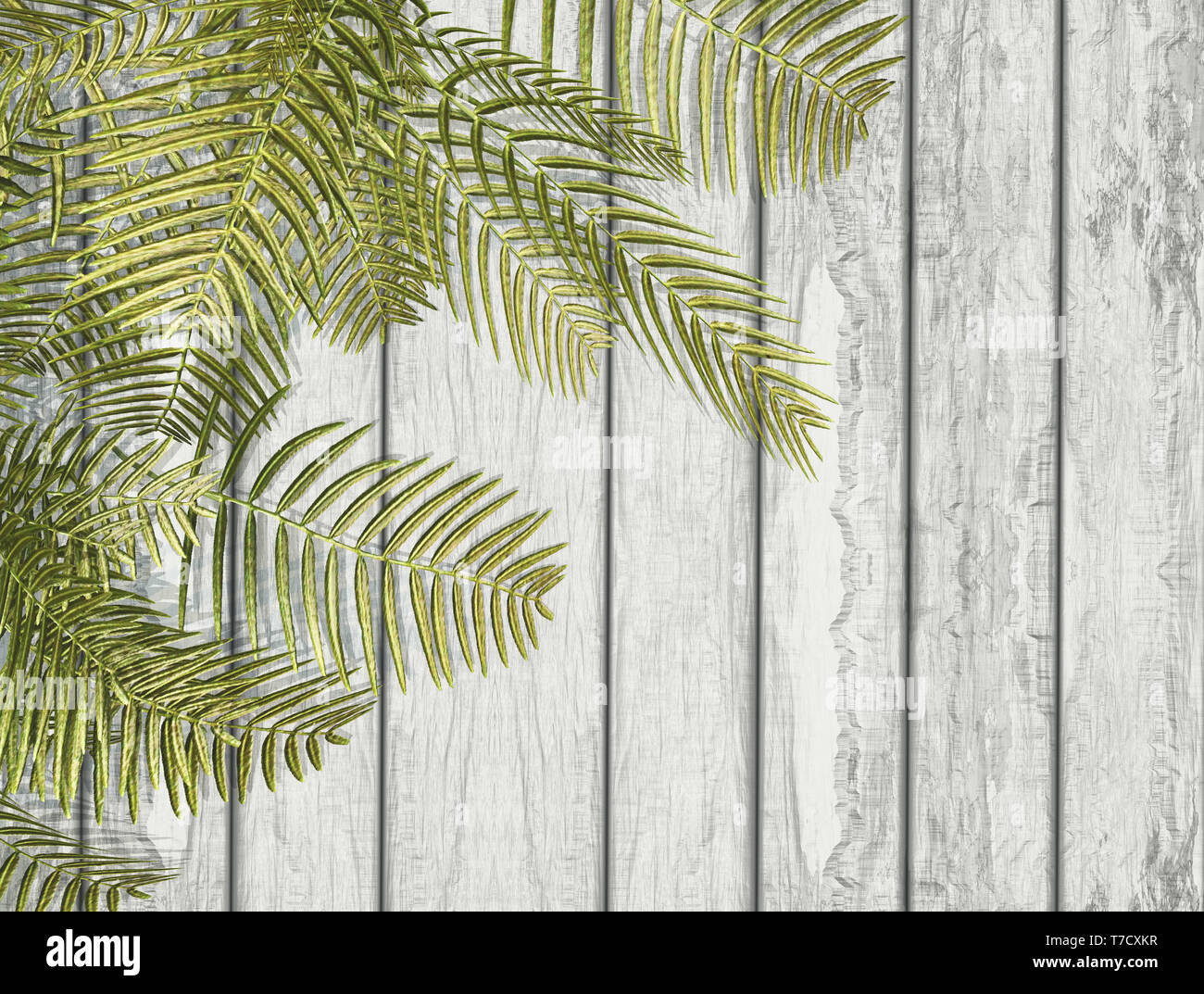 3D render of fern leaves on a white wooden texture Stock Photo - Alamy