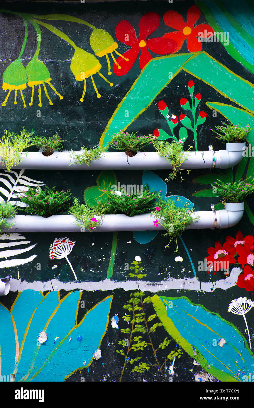 Cute idea to make pretty living environment, flower pots from water ...