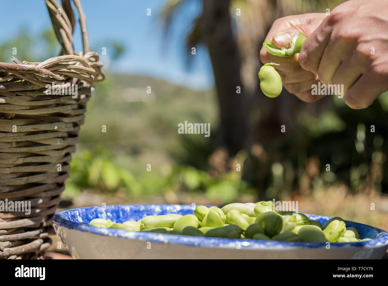Opening agriculture hi-res stock photography and images - Alamy