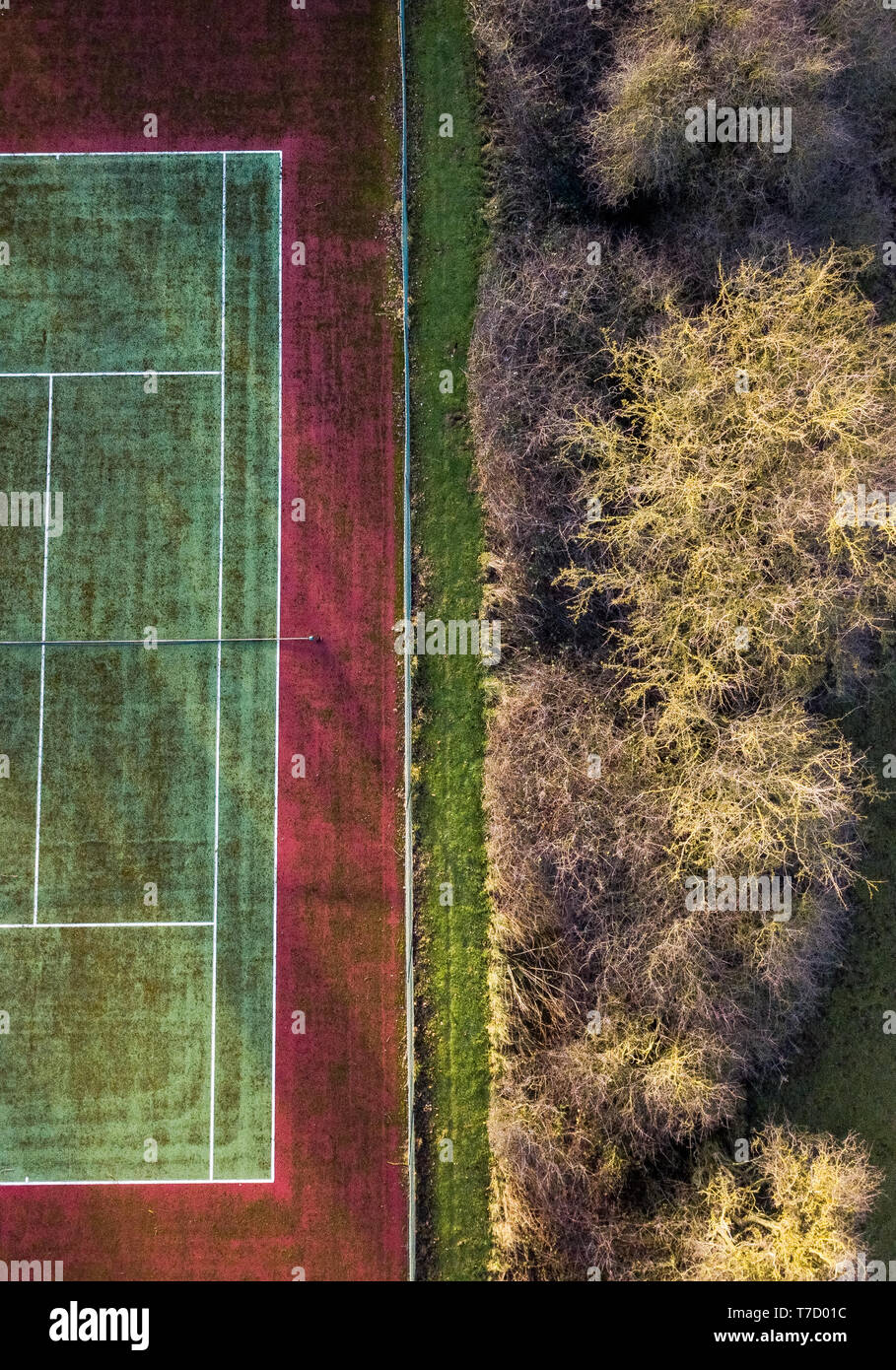A mossy tennis court from above with a lot of trees on the right hand ...