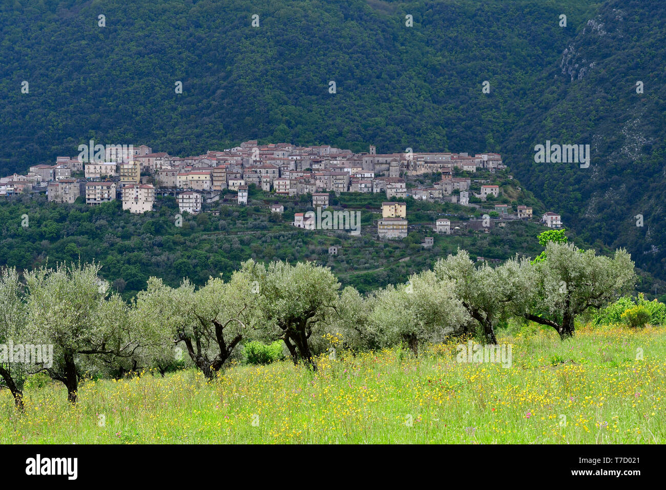 Felitto hi-res stock photography and images - Alamy