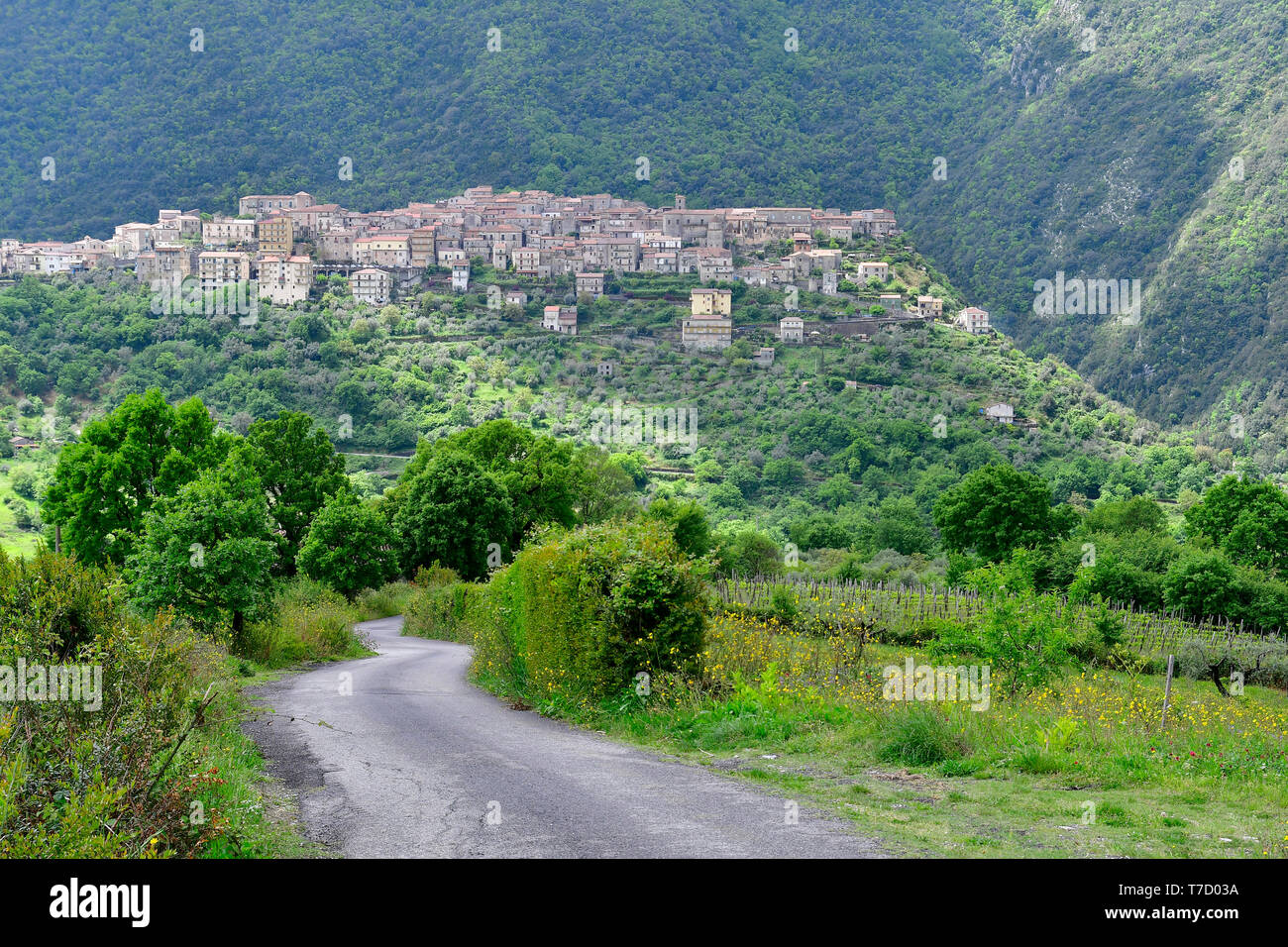 Felitto, Cilento National park, Italy Stock Photo - Alamy