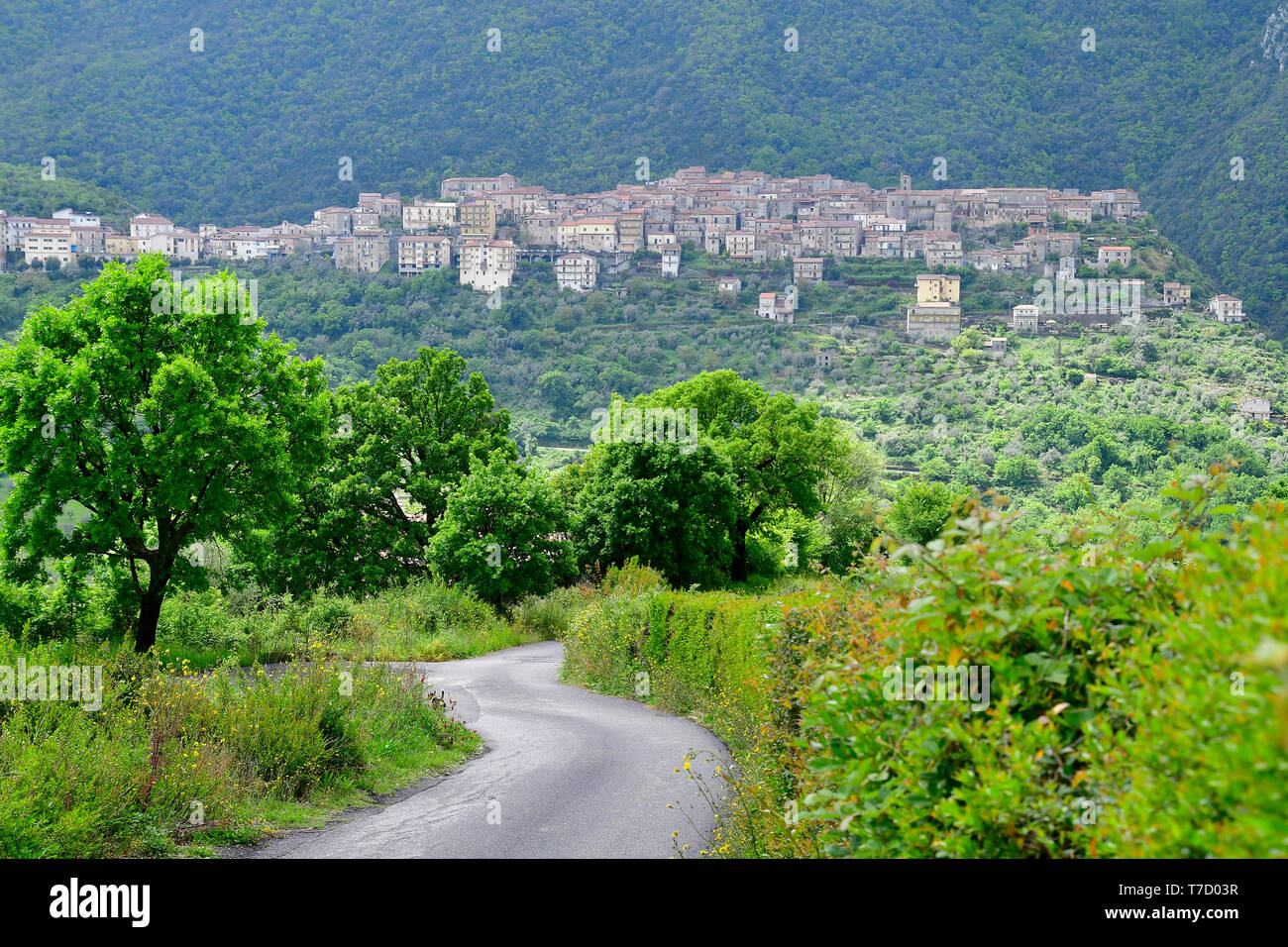 Felitto hi-res stock photography and images - Alamy