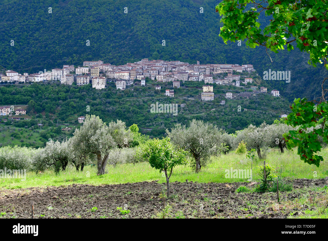 Felitto, Cilento National park, Italy Stock Photo - Alamy