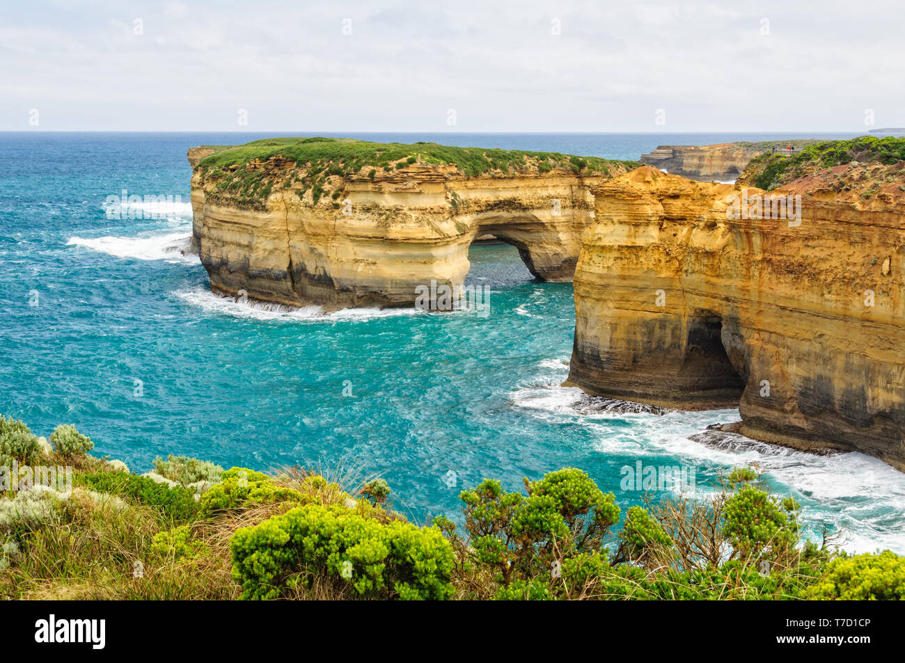 Mutton bird island australia hi-res stock photography and images - Alamy
