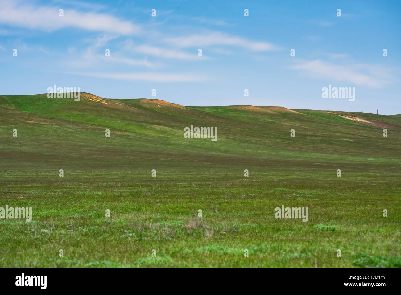 Beautiful picturesque spring landscape with green steppe and blue sky ...