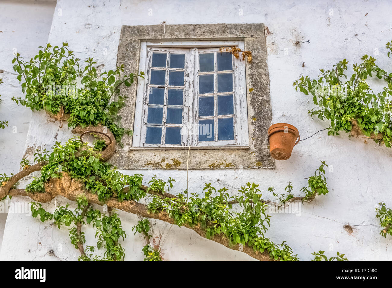Windows Facade Exterior Vernacular High Resolution Stock Photography ...