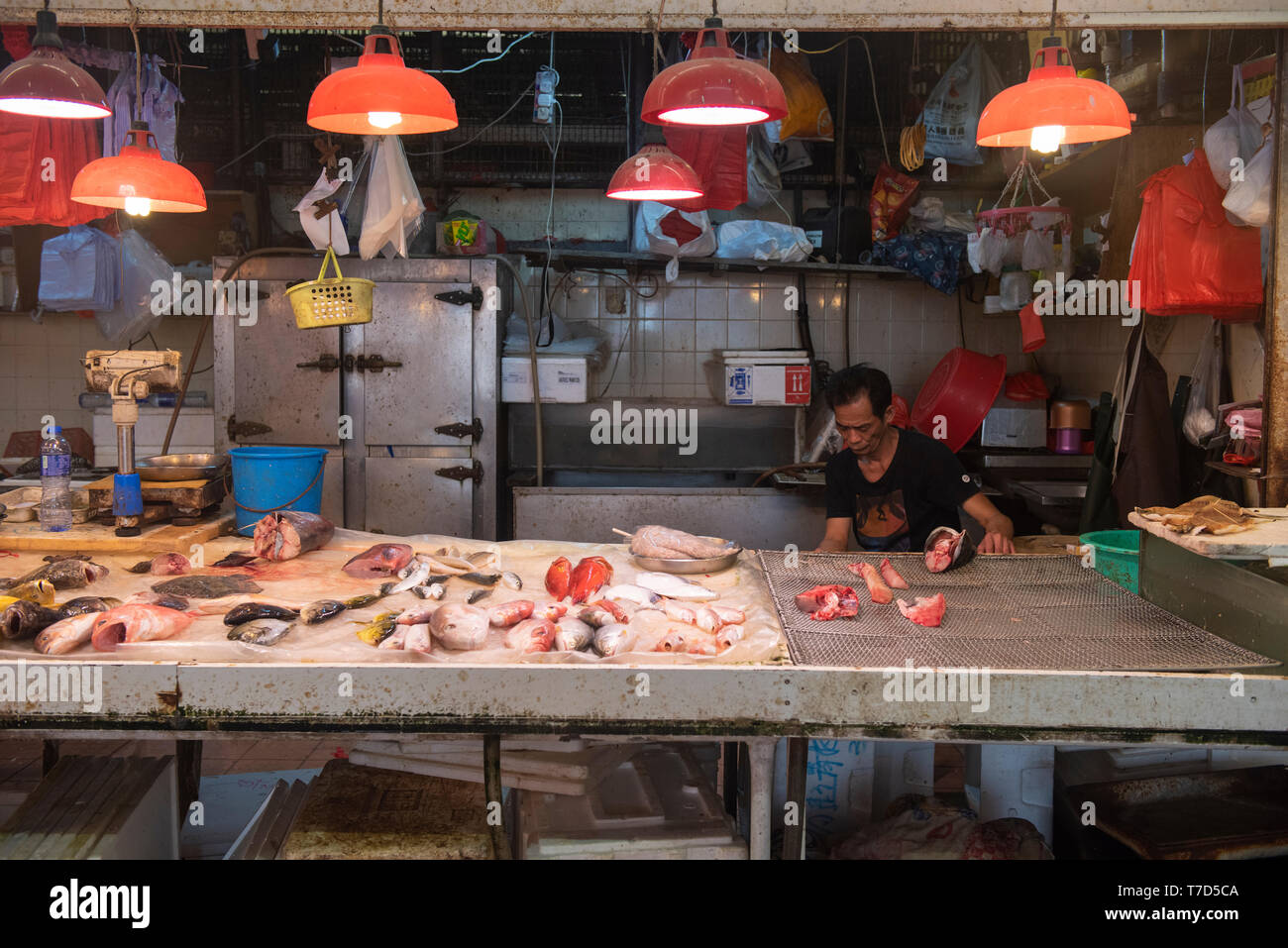 Hong Kong fish market Stock Photo - Alamy